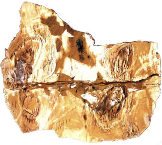 Lapidary Materials for Sale- Agate, Jasper, Thundereggs, Petrified Wood